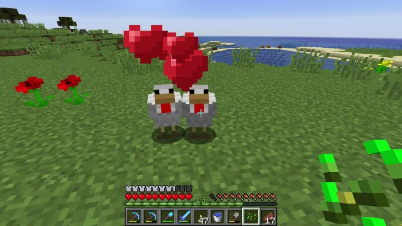 How To Breed Chickens In Minecraft: A Step-by-Step Guide – Sweet Discord